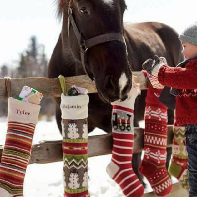 don't forget the stocking fillers – Riders Saddlery
