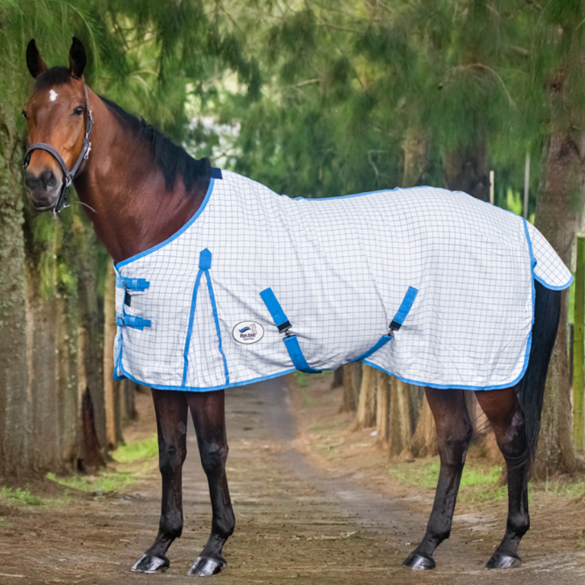 BLUE STEEL DAY SHEET – Riders Saddlery