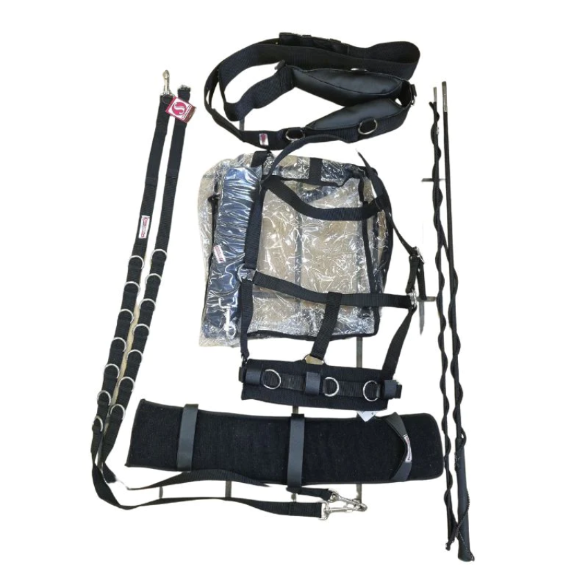 SOLO LUNGING SET WITH BAG – Riders Saddlery